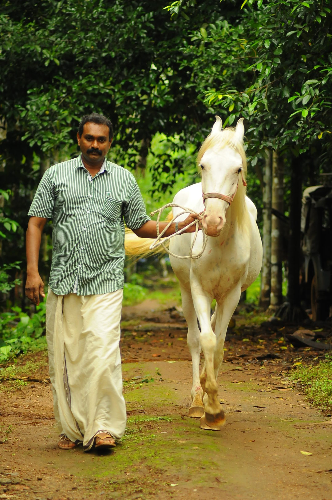 Kallingal – Nutmeg Plantation & Farm – Kerala